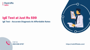 IgE Test - Price, Purpose, Procedure, Normal Range, & More